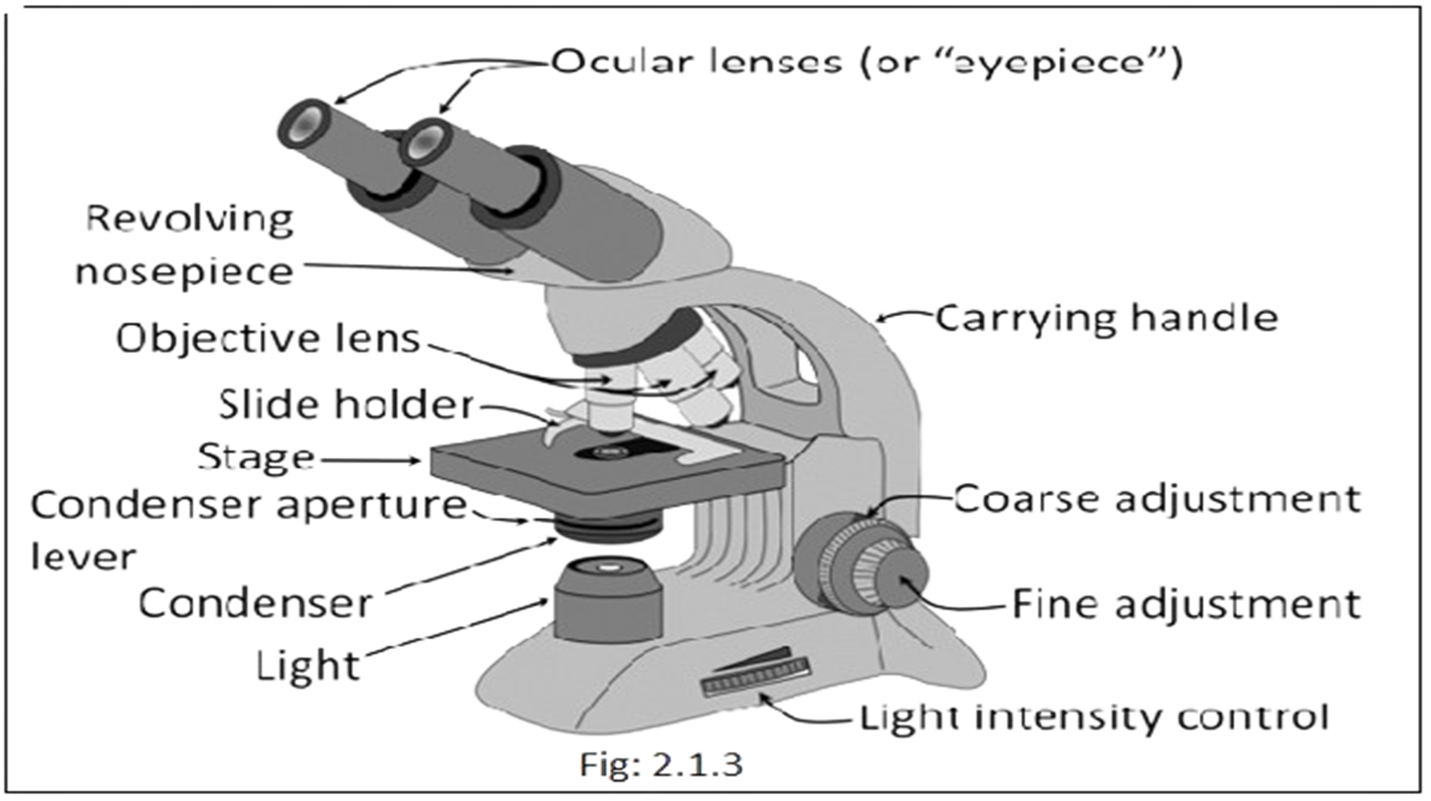 What is a Microscope ?, Types, Parts, and Working Principle Explained